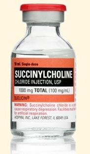 SUCCINYLCHOLINE: VITAL DRUG OR OBSOLETE DINOSAUR? - The anesthesia ...